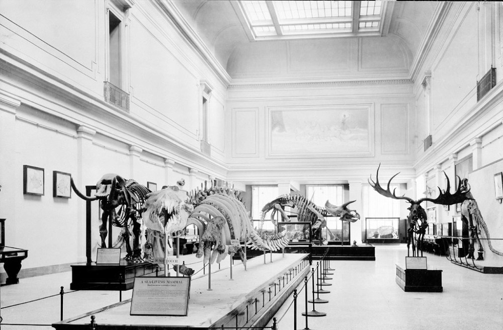 Extinct Monsters: History of Smithsonian Fossil Exhibits | EXTINCT MONSTERS