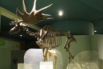 Extinct Monsters: Ice Age Giants | EXTINCT MONSTERS