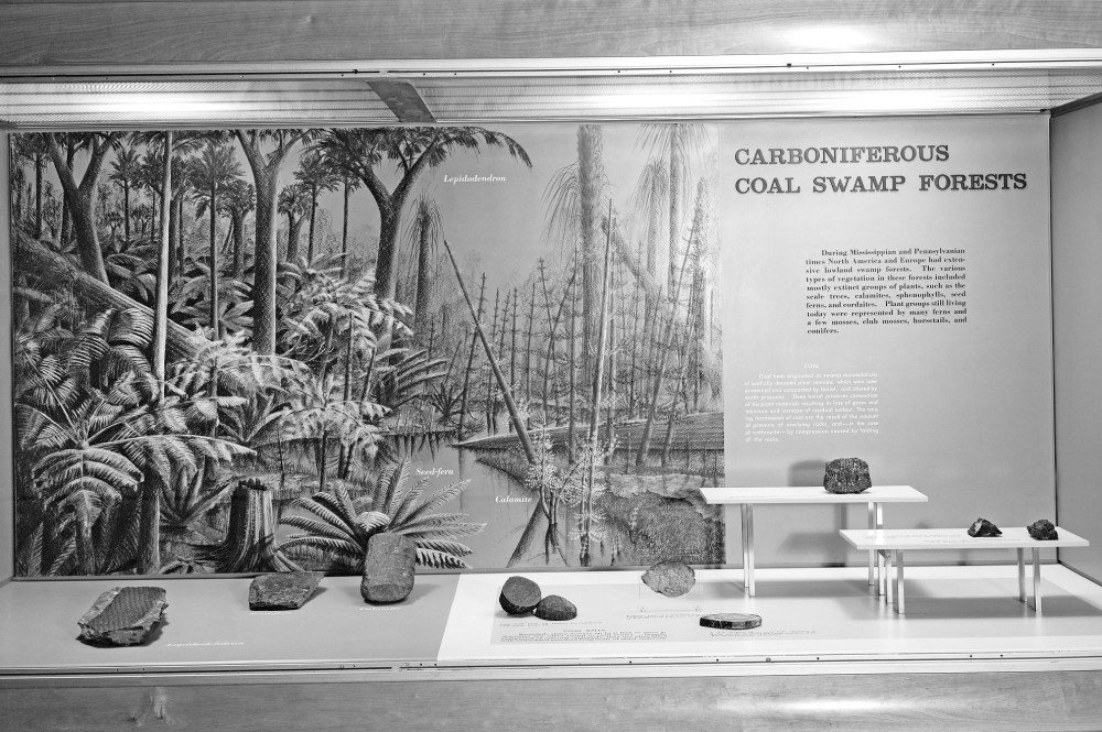 The NMNH fossil halls, circa 1963 | EXTINCT MONSTERS