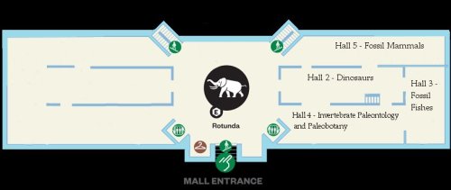 Permo-Triassic Synapsids at NMNH | EXTINCT MONSTERS