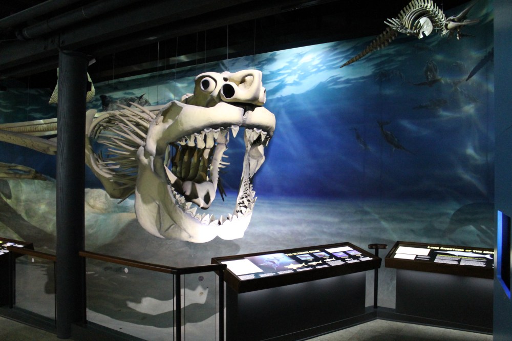 The Calvert Marine Museum’s big foam shark | EXTINCT MONSTERS