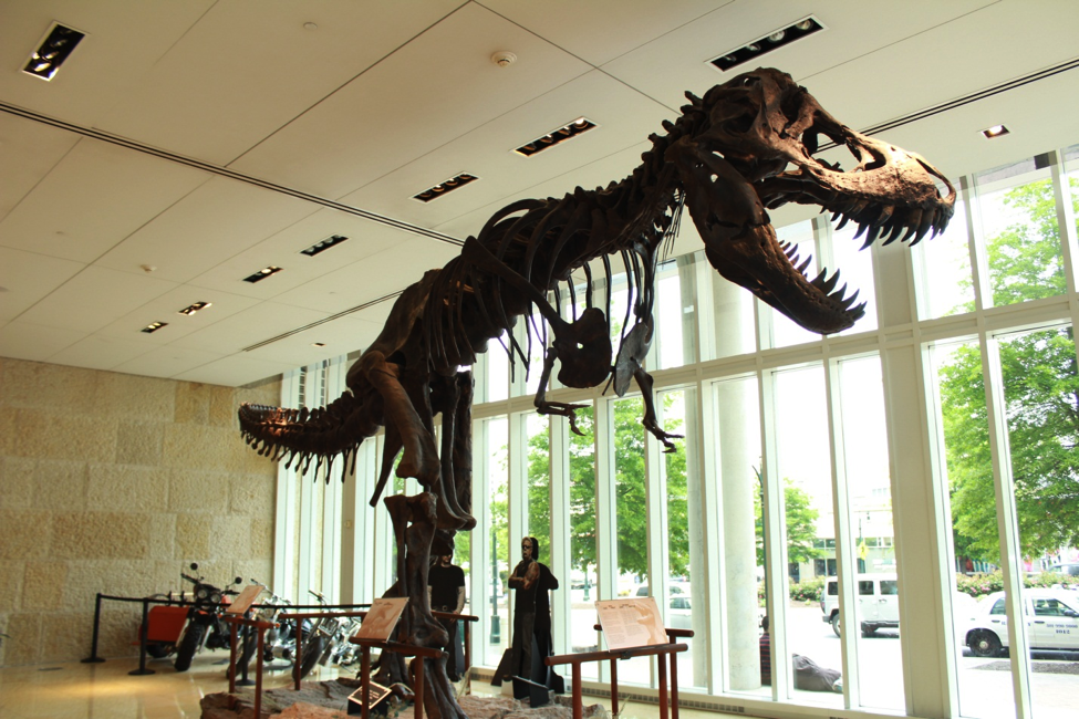 Discovery Building Silver Spring Downtown Silver Spring Gains Two