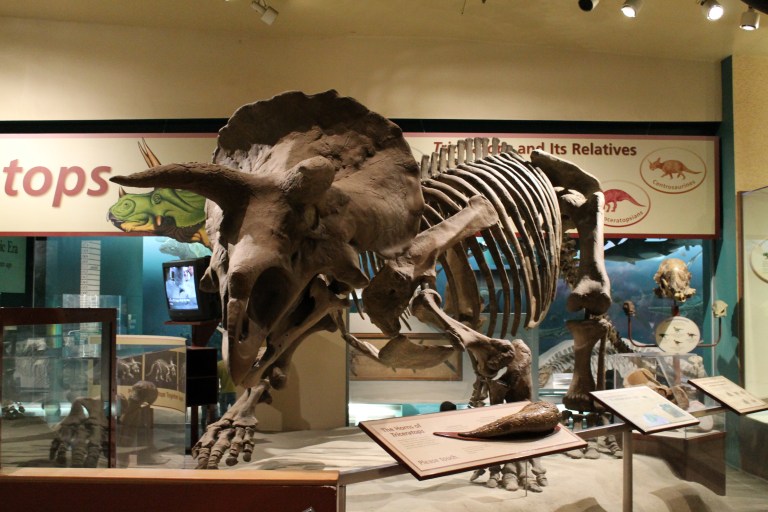 The Top Seven Dinosaur Mounts #MuseumDinos | EXTINCT MONSTERS