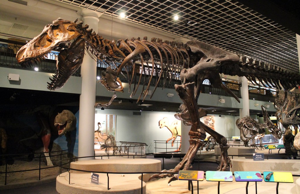 Fossil Mount FAQs | EXTINCT MONSTERS