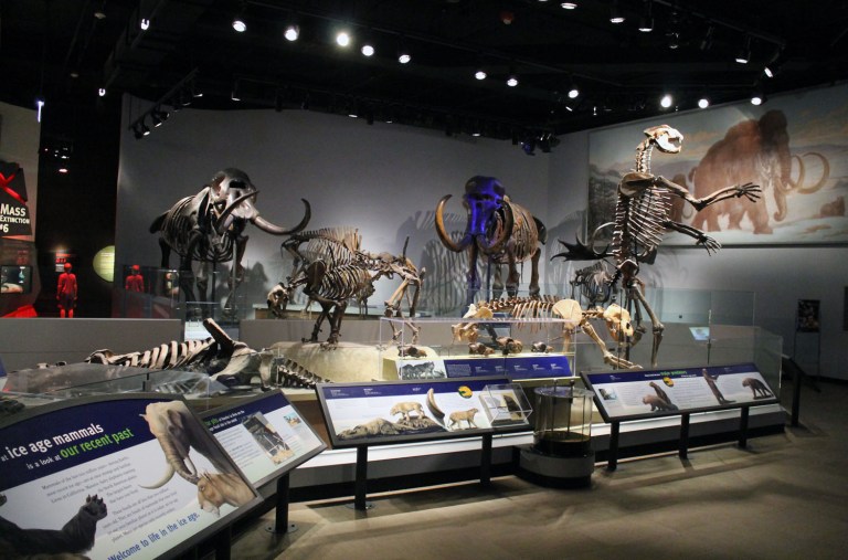 museums | EXTINCT MONSTERS | Page 9