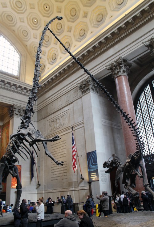 Installation art in the service of science | EXTINCT MONSTERS