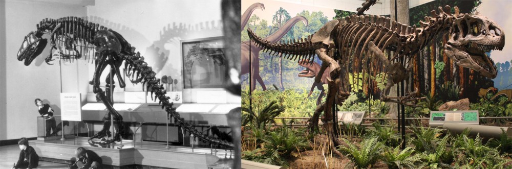 The Carnegie Quarry Diaspora | EXTINCT MONSTERS
