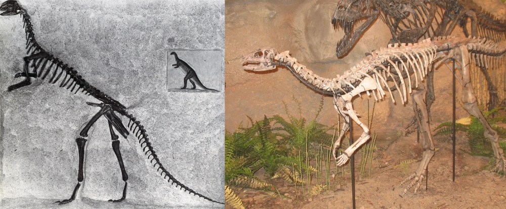 The Carnegie Quarry Diaspora | EXTINCT MONSTERS