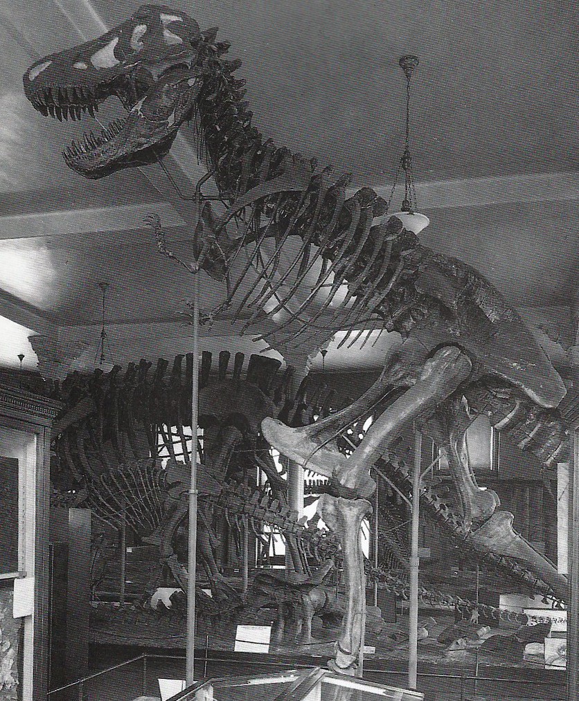 History of the AMNH Fossil Halls – Part 1 | EXTINCT MONSTERS