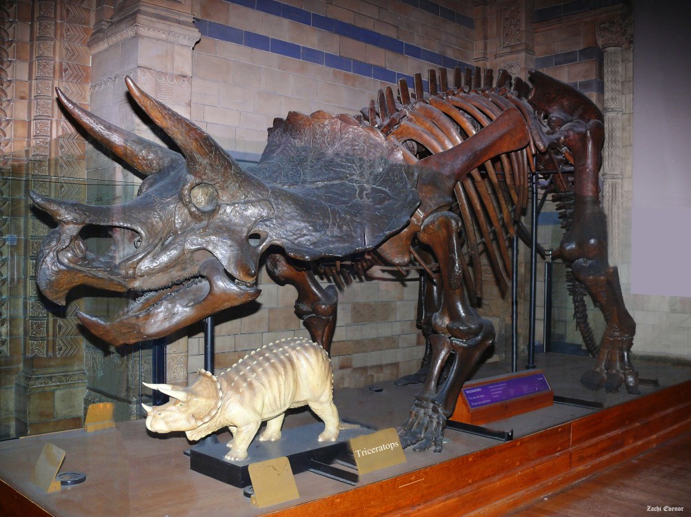 EXTINCT MONSTERS | Art, History, and Science of Museum Paleontology ...
