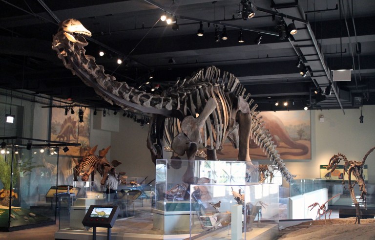History of the Field Museum Fossil Halls – Part 2 | EXTINCT MONSTERS