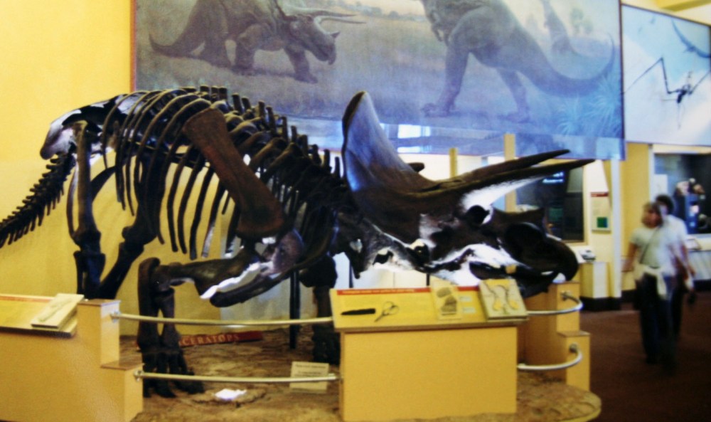 History of the Field Museum Fossil Halls – Part 2 | EXTINCT MONSTERS