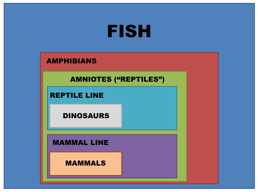 Phylogenetics is Moon Man Talk | EXTINCT MONSTERS