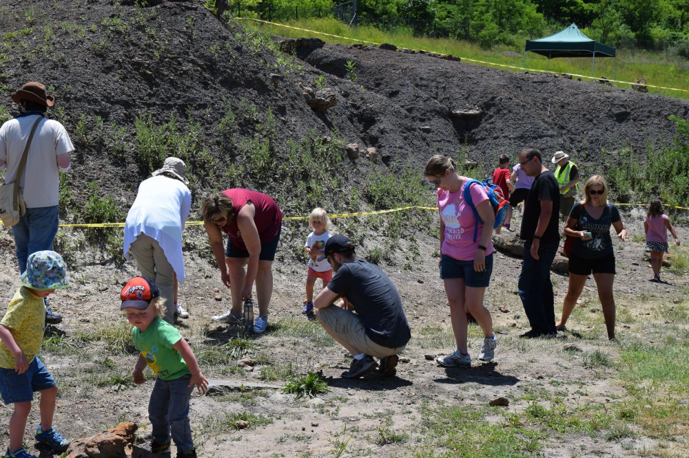 A Tour of Dinosaur Park | EXTINCT MONSTERS