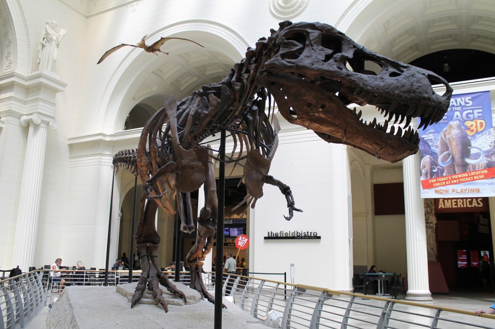 The Field Museum Shuffles its Dinosaurs | EXTINCT MONSTERS