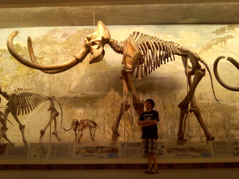 The Great Mammoth of Lincoln | EXTINCT MONSTERS