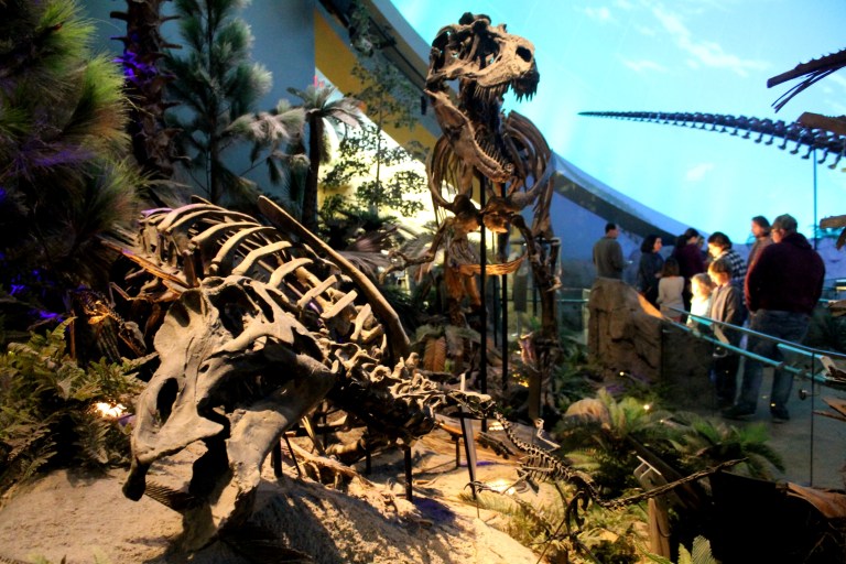 Return to the DinoSphere | EXTINCT MONSTERS