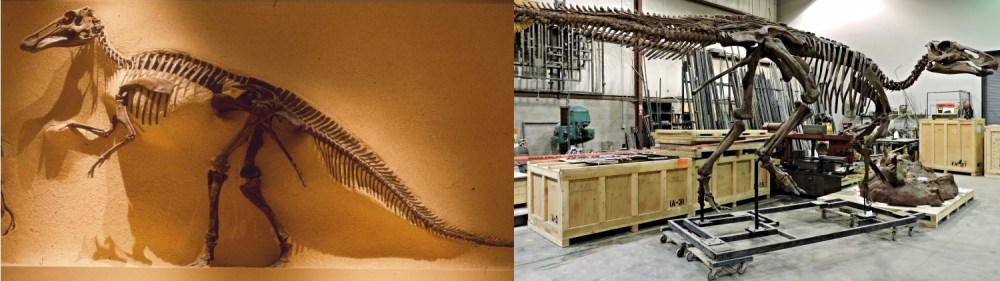 theropods | EXTINCT MONSTERS | Page 2