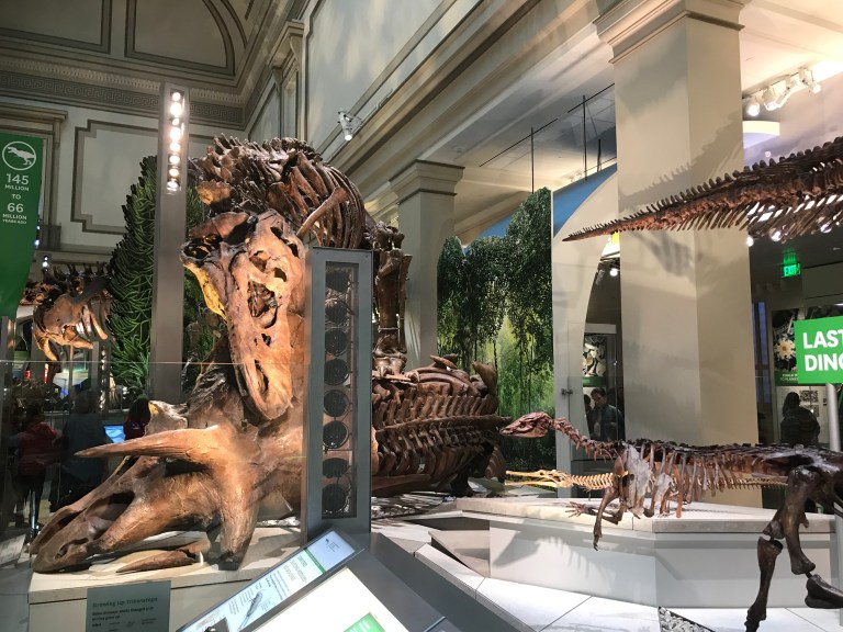 EXTINCT MONSTERS | Art, History, and Science of Museum Paleontology ...
