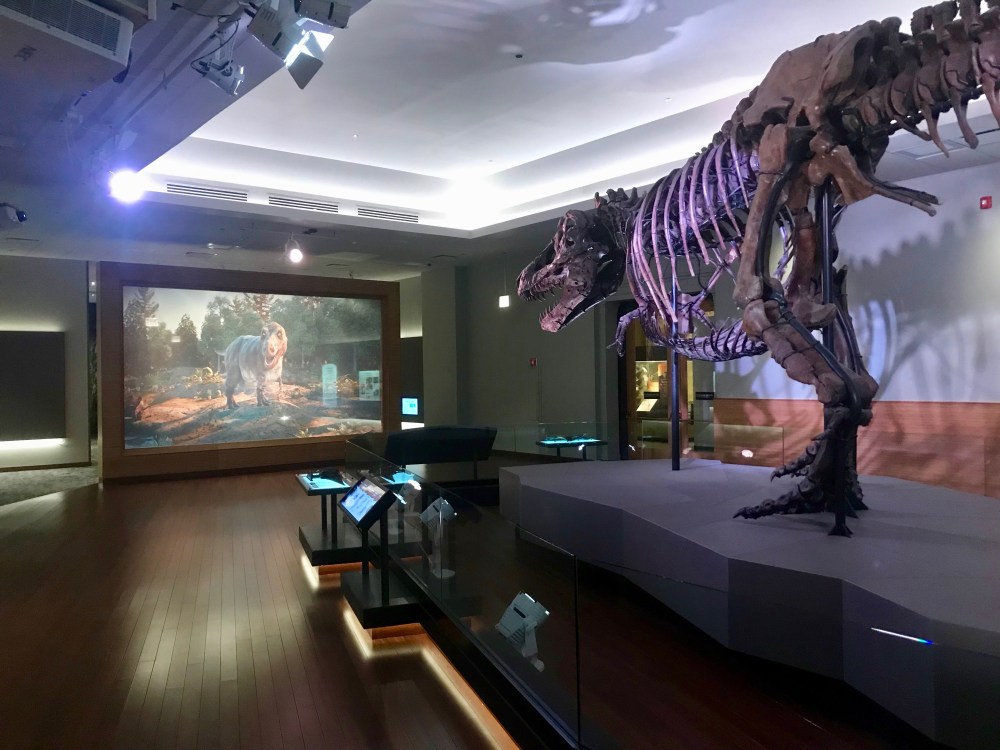 EXTINCT MONSTERS | Art, History, and Science of Museum Paleontology ...