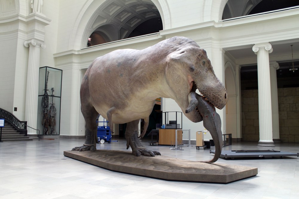 EXTINCT MONSTERS | Art, History, and Science of Museum Paleontology ...