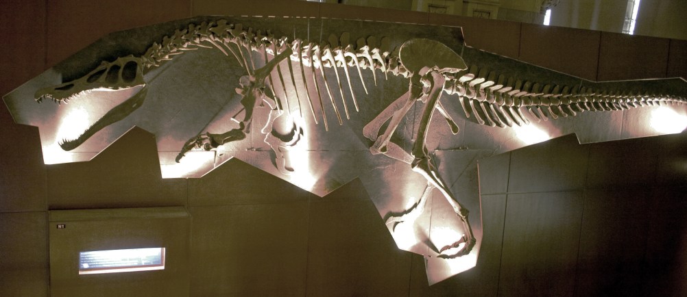 The dinosaurs of London’s Natural History Museum | EXTINCT MONSTERS