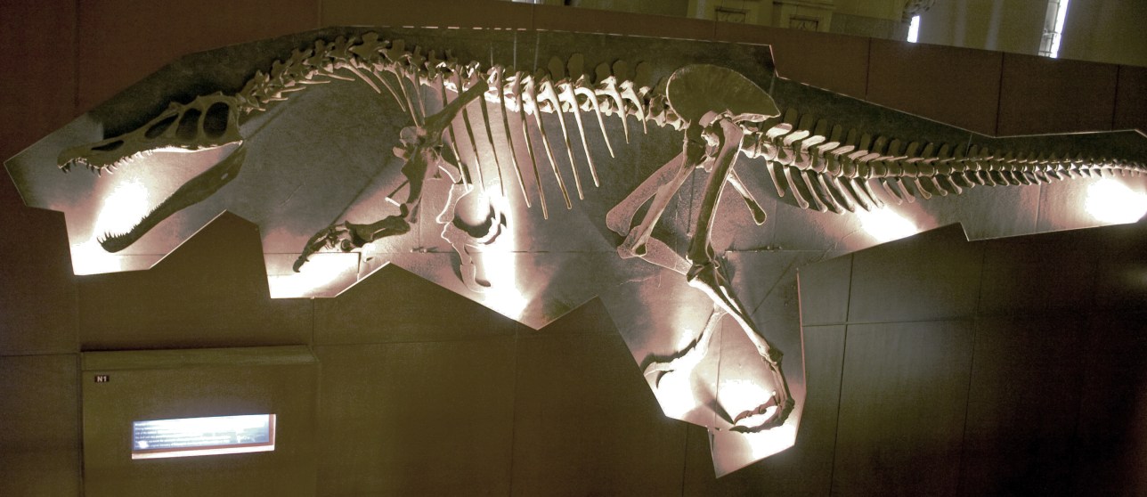 EXTINCT MONSTERS | Art, History, and Science of Museum Paleontology ...