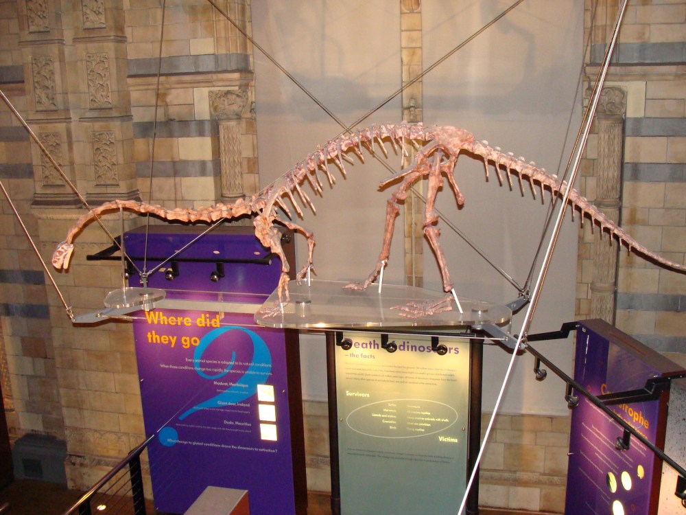 The dinosaurs of London’s Natural History Museum | EXTINCT MONSTERS