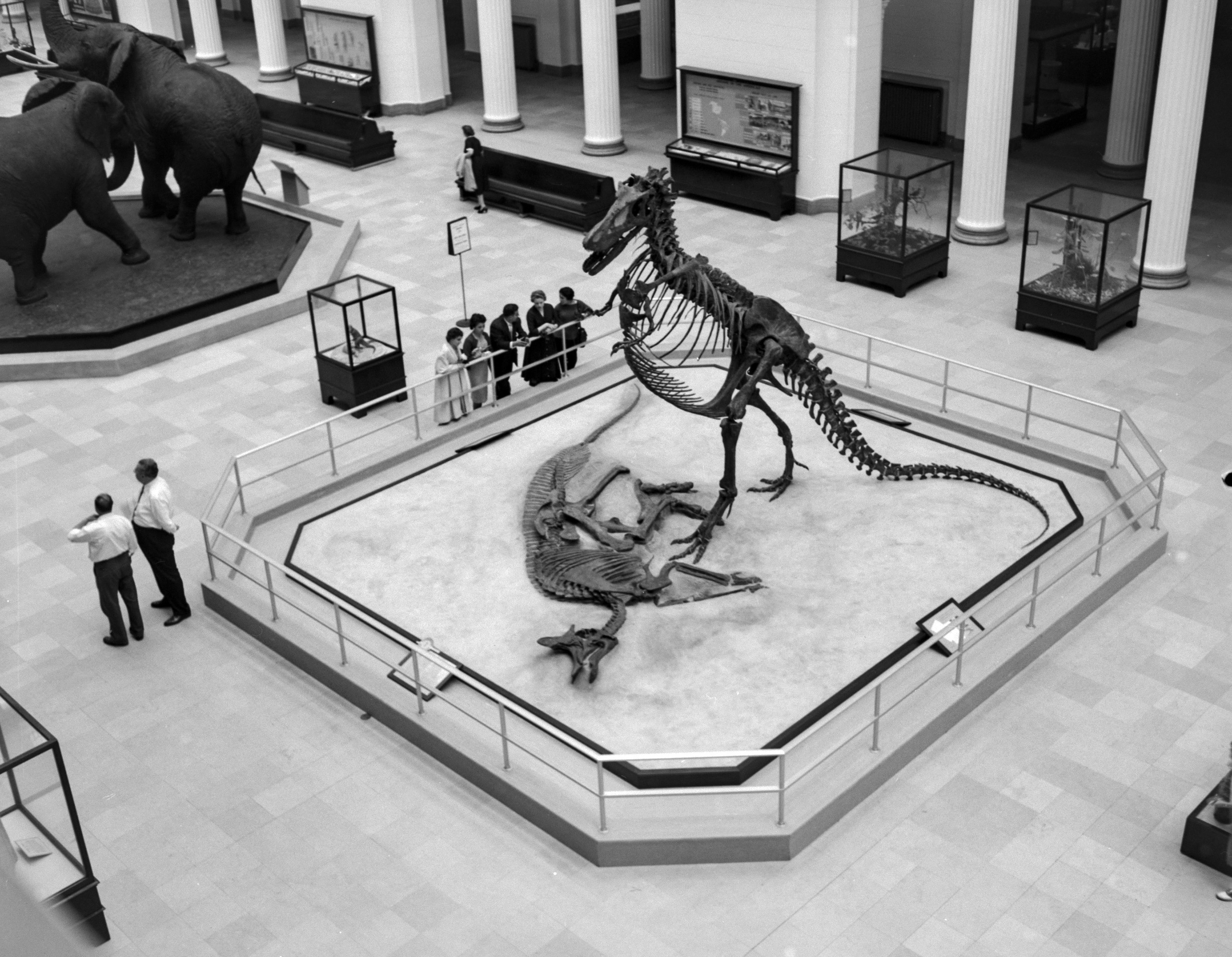 Dinosaurs of the Field Museum — Part 1 | EXTINCT MONSTERS