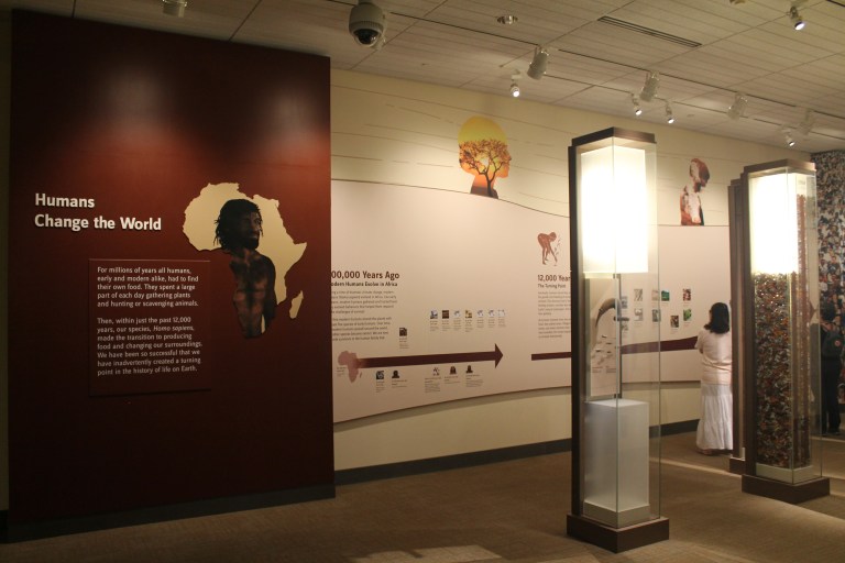 EXTINCT MONSTERS | Art, History, and Science of Museum Paleontology