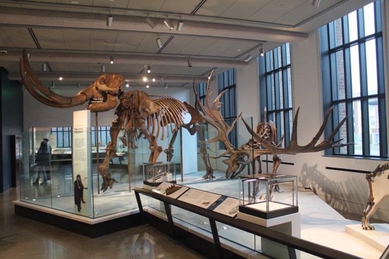 EXTINCT MONSTERS | Art, History, and Science of Museum Paleontology