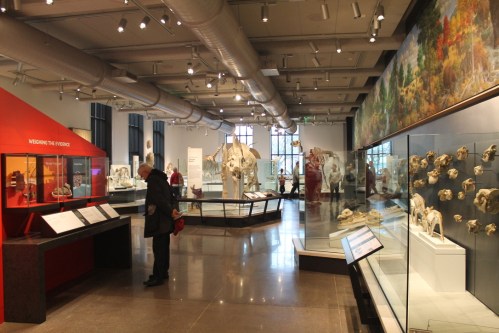 EXTINCT MONSTERS | Art, History, and Science of Museum Paleontology