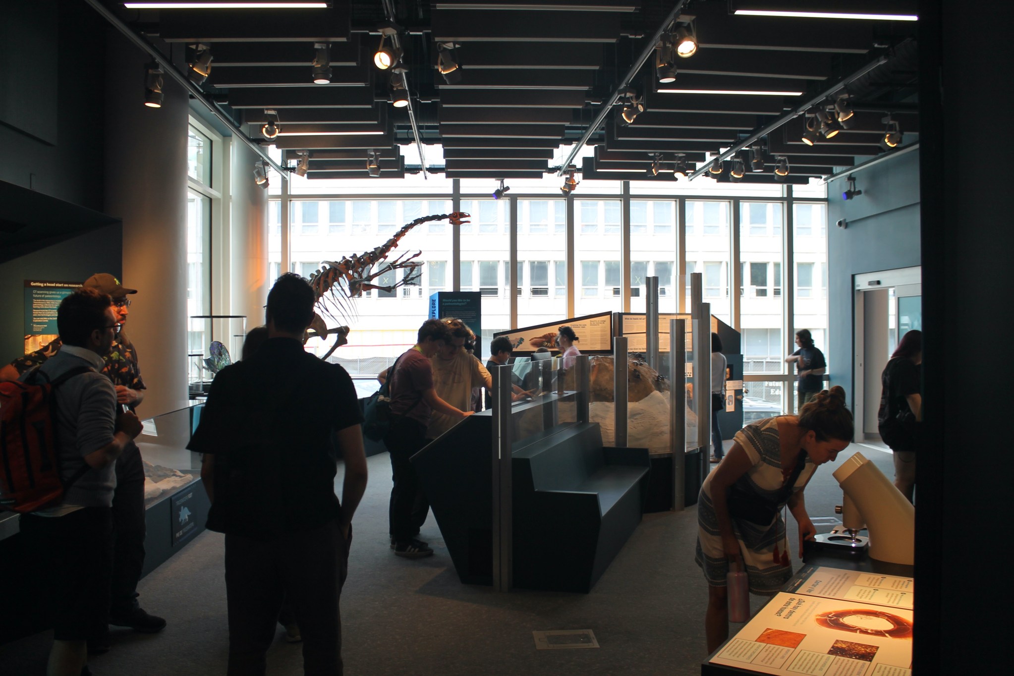 The Dueling Dinosaurs: famous fossils in an open lab | EXTINCT MONSTERS