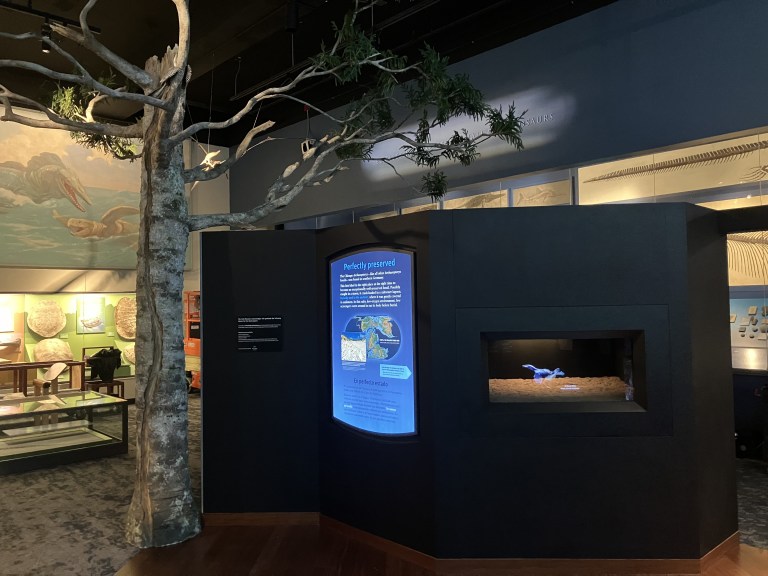 EXTINCT MONSTERS | Art, History, and Science of Museum Paleontology