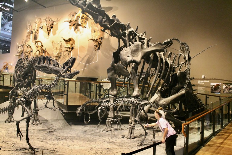 EXTINCT MONSTERS | Art, History, and Science of Museum Paleontology