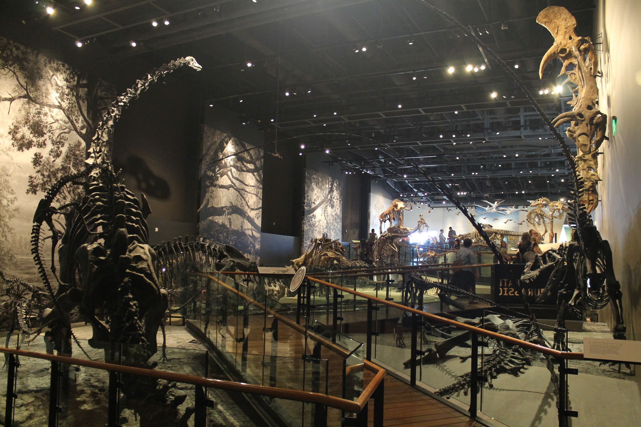 EXTINCT MONSTERS | Art, History, and Science of Museum Paleontology