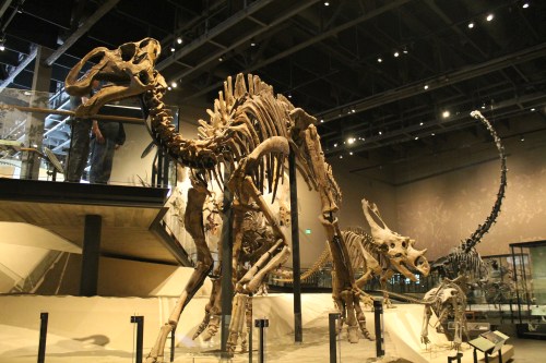 EXTINCT MONSTERS | Art, History, and Science of Museum Paleontology