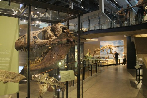 EXTINCT MONSTERS | Art, History, and Science of Museum Paleontology