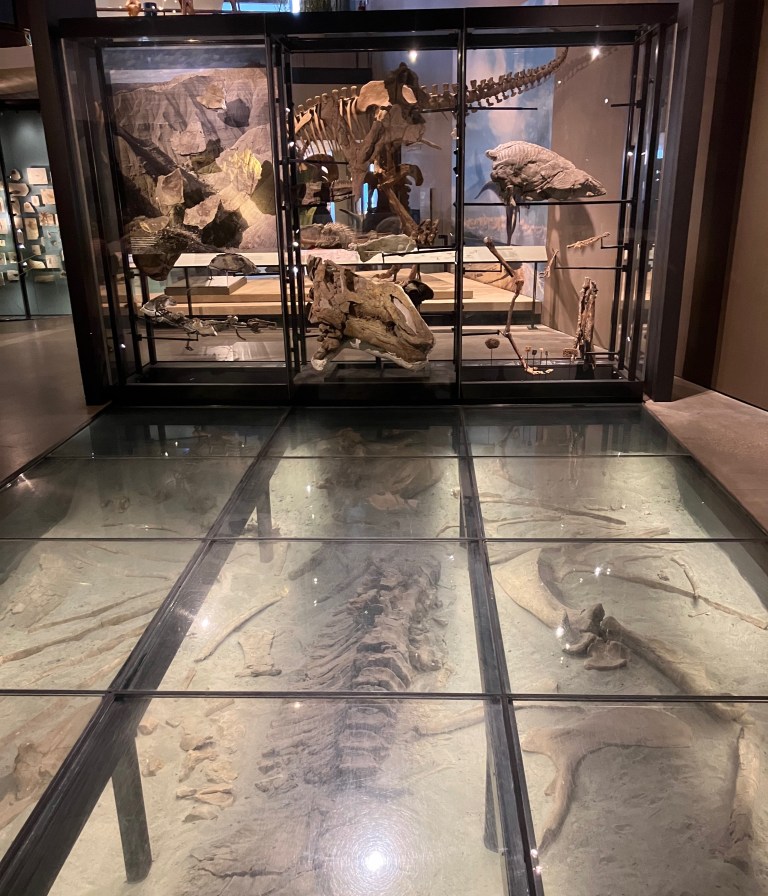 EXTINCT MONSTERS | Art, History, and Science of Museum Paleontology