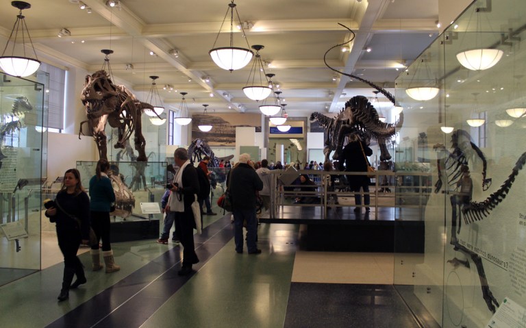 EXTINCT MONSTERS | Art, History, and Science of Museum Paleontology