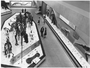 EXTINCT MONSTERS | Art, History, and Science of Museum Paleontology